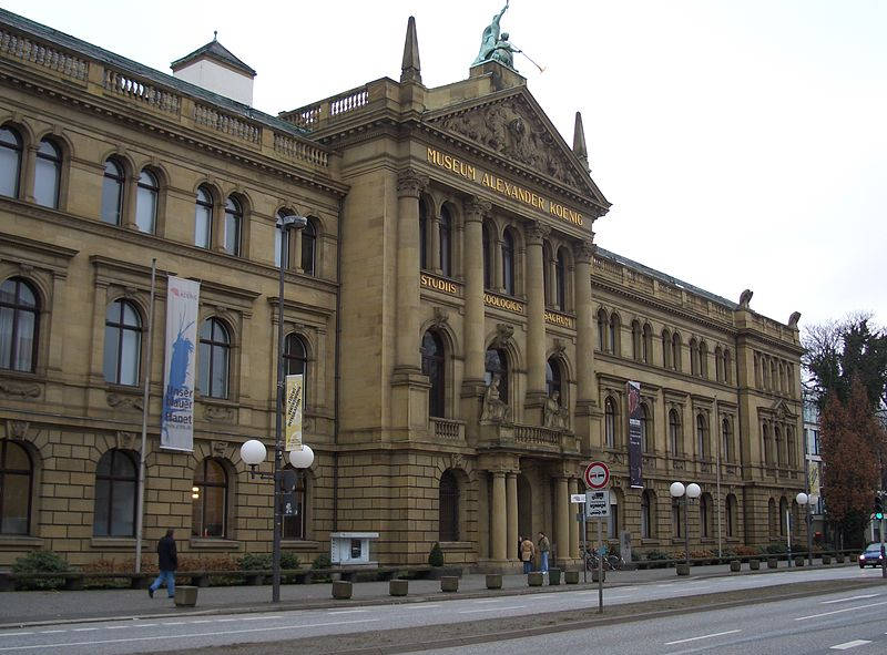 Alexander Koenig Research Museum | Museu.MS